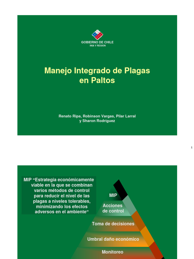ripa | PDF | Plaga (organismo) | Hoja