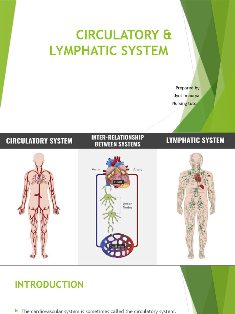 CIRCULATORY 0 Lymphatic System | PDF | Heart Valve | Atrium (Heart)