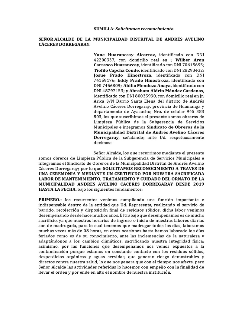 Solicitamos Reconocimiento | PDF | Gobierno local | Constitución