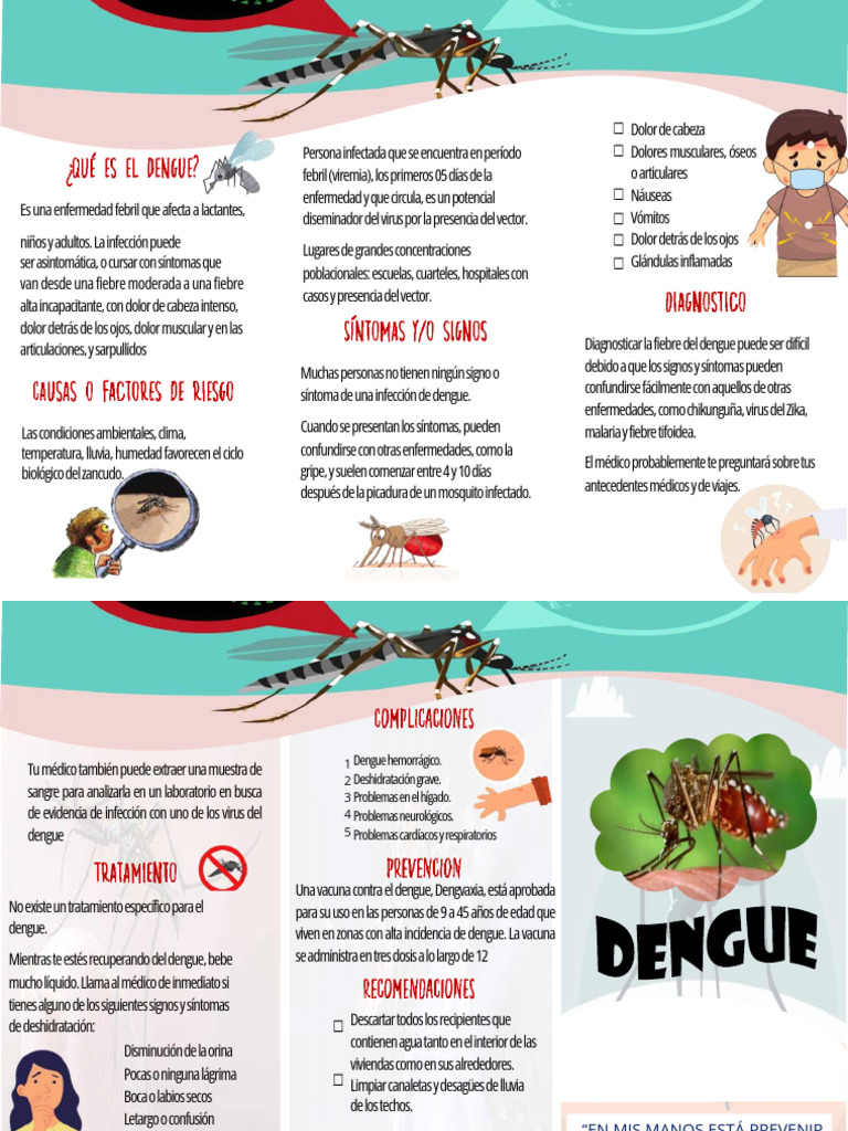 646157838-Triptico Del Dengue | PDF | Fiebre del zika | Enfermedades y ... 646157838-Triptico Del Dengue | PDF | Fiebre del zika | Enfermedades y ...