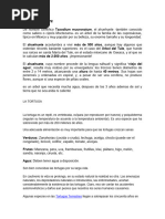 30 Vegetales Con Sus Cromosomas | PDF