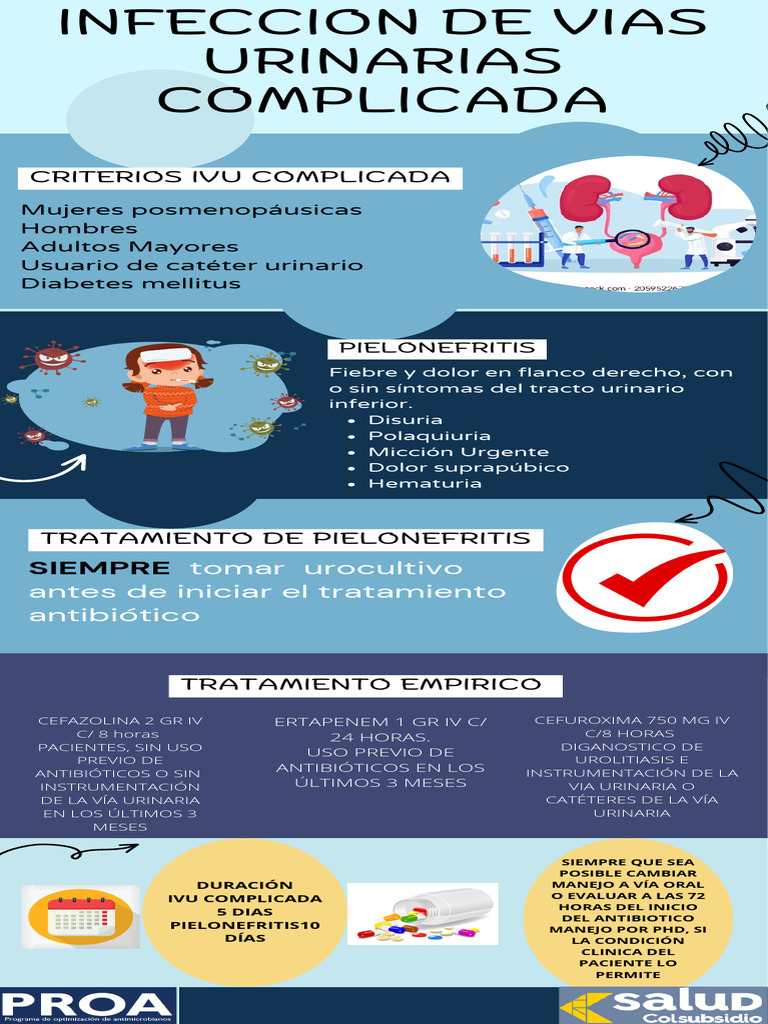 Infografia Ivu | PDF