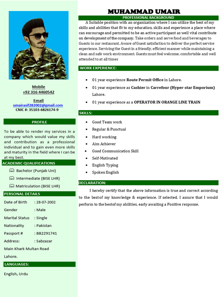 Muhammad Umair: Professional Resume | PDF