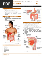 Nanda Book Complete | PDF