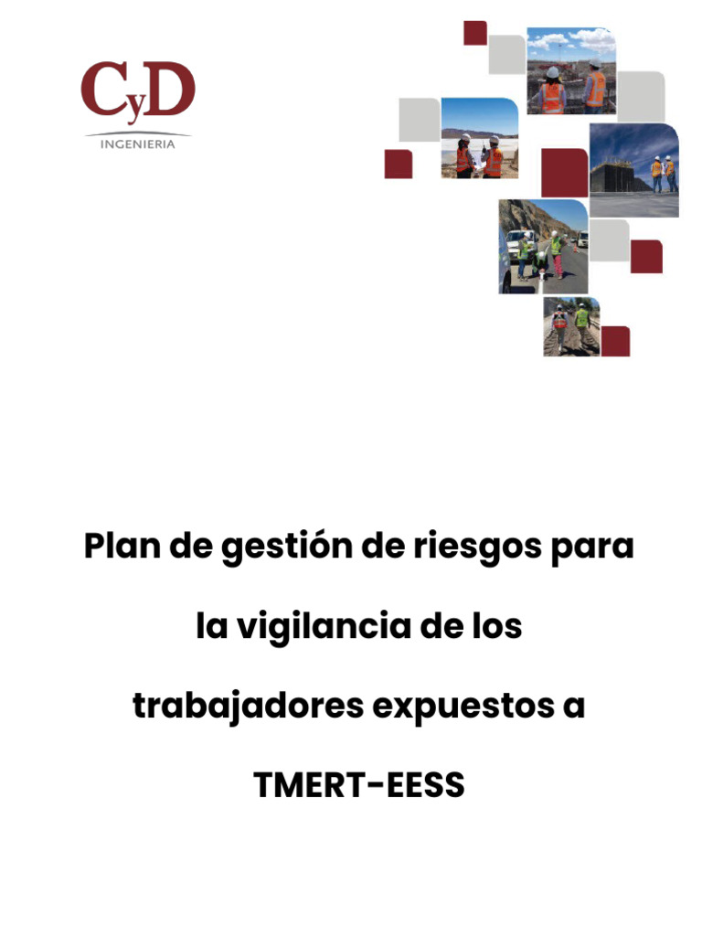 Plan de Gestion TMERT-EESS | PDF | Músculo