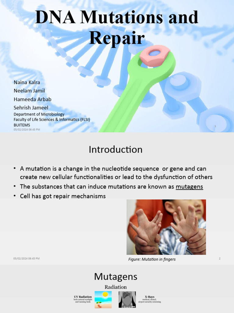 DNA Mutations and Repair | PDF | Dna Repair | Dna