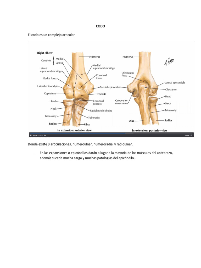 CODO | PDF | Codo | Articulación