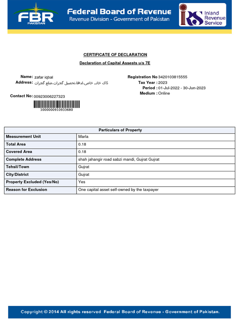 Capital Assets 7E Report | PDF