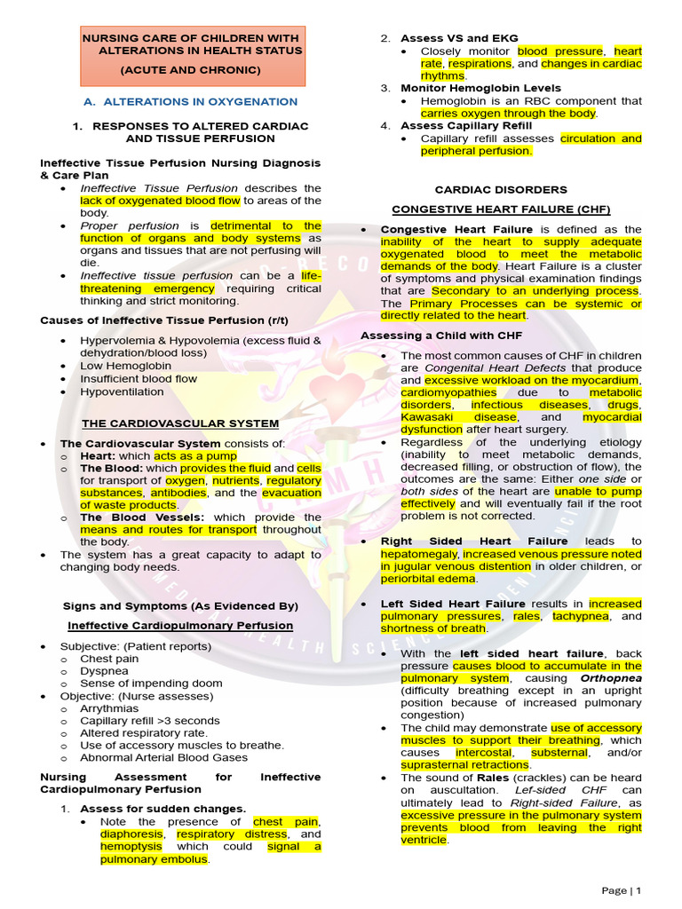Midterm PRT 2 A qq9 | PDF | Heart | Ventricle (Heart)