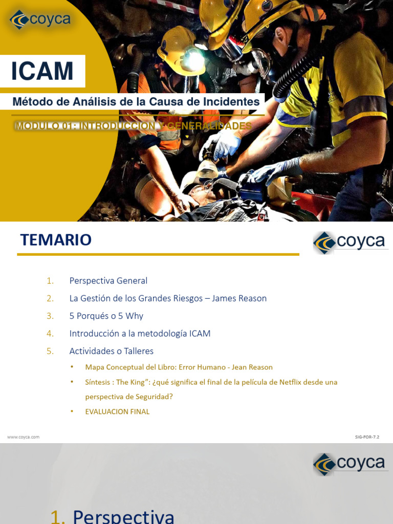 Introduccion Al Icam | PDF
