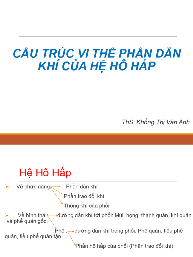 Cấu Trúc VI Thể Phần Dẫn Khí Hô Hấp | PDF