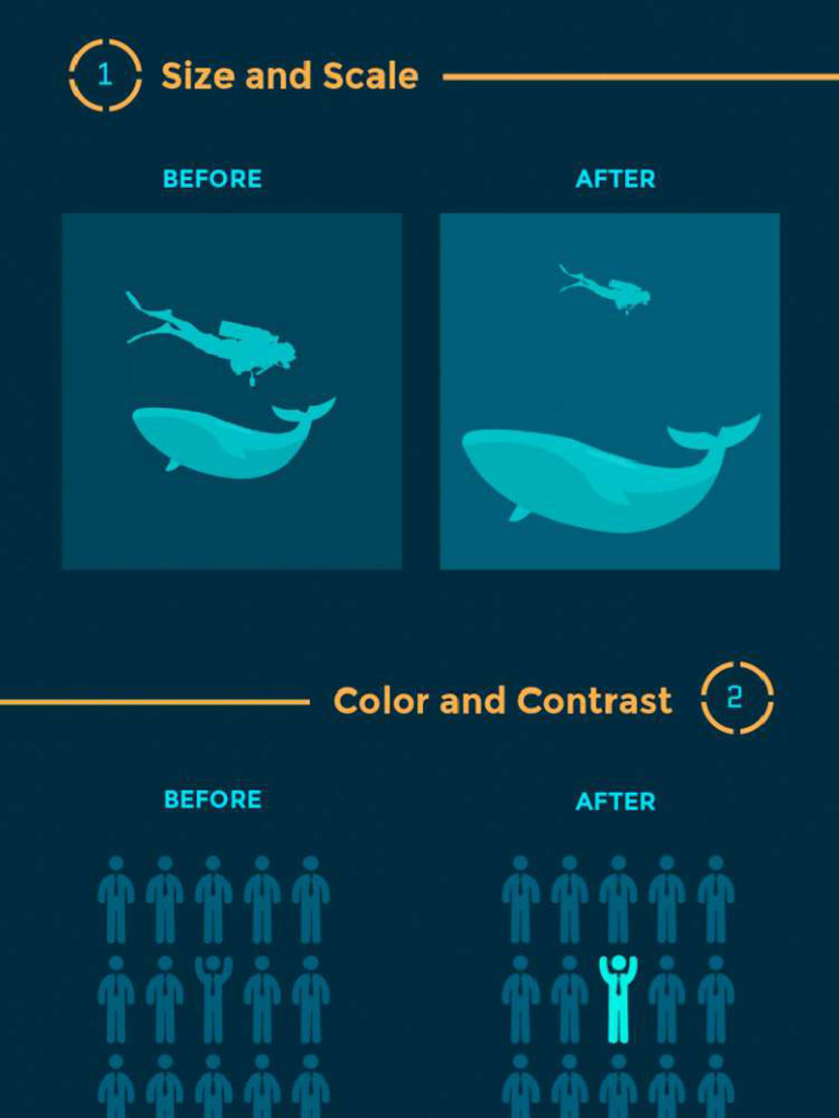 12 Visual Hierarchy Principles | PDF