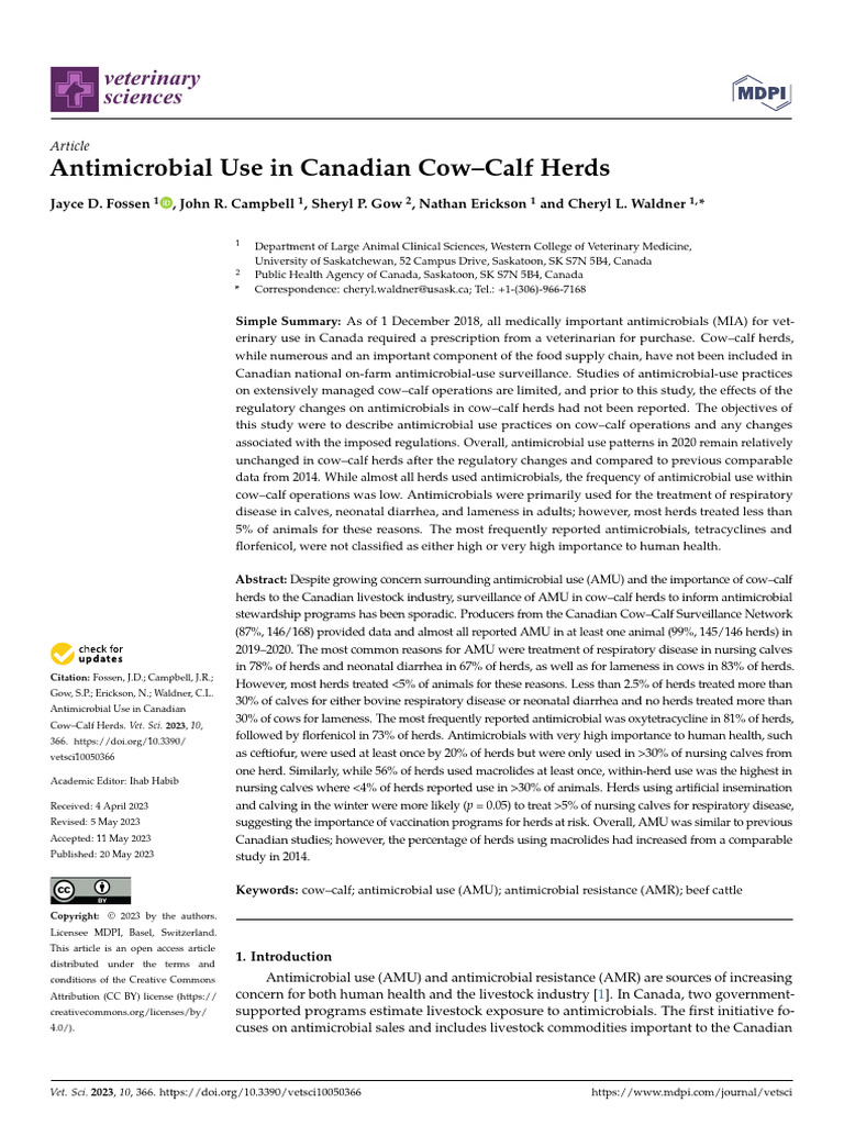 Antimicrobial Use in Canadian Cow | PDF | Cattle | Medicine