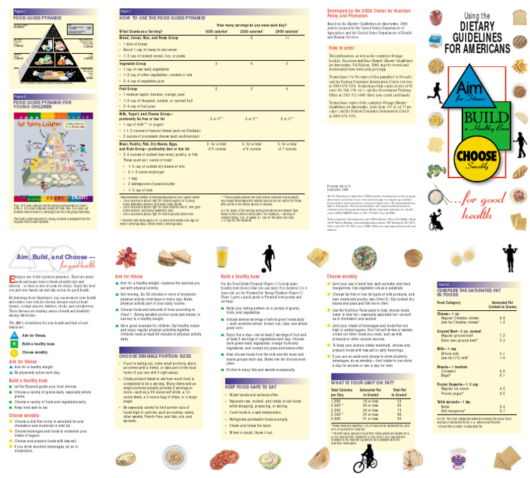 Using Food Guide | PDF | Foods | Healthy Diet