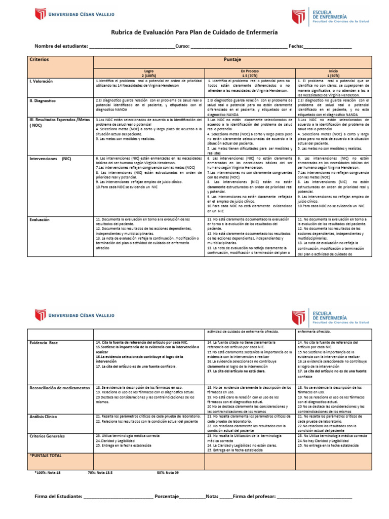 Rubrica de Evaluacion Plan de Cuidados | PDF | Ciencias de la Salud | Medicina