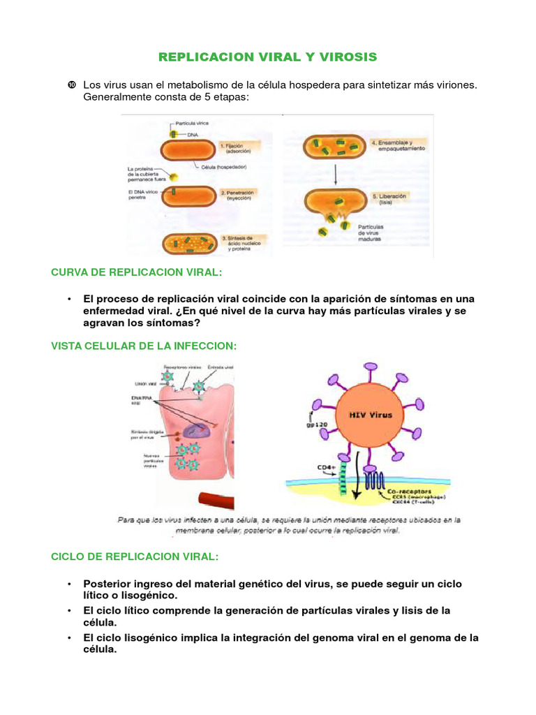 Clase 6 Replicacion Viral y Virosis | PDF