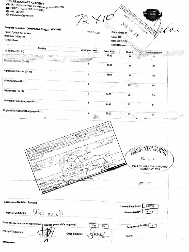 Grade 11 Report | PDF