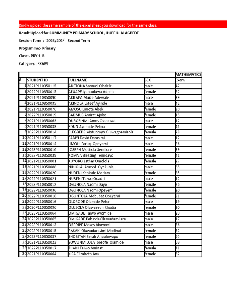 Primary School Exam Results | PDF