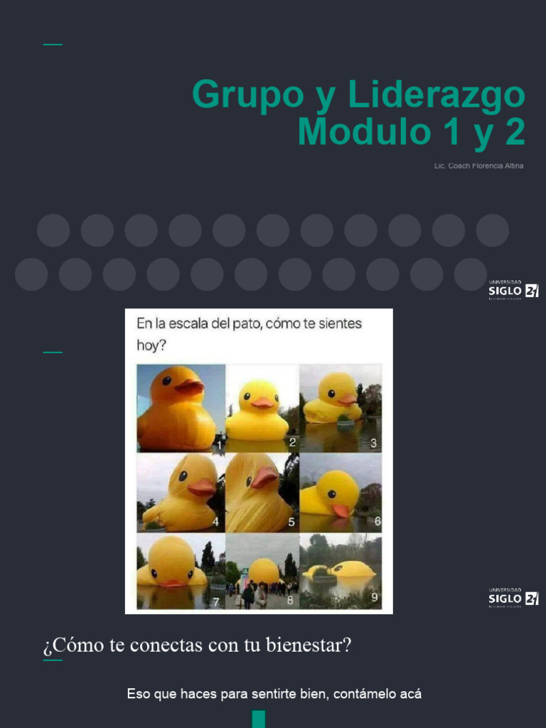 Resumen Modulo 1 y 2-5 | PDF | Bienestar | Psicología Aplicada Resumen Modulo 1 y 2-5 | PDF | Bienestar | Psicología Aplicada