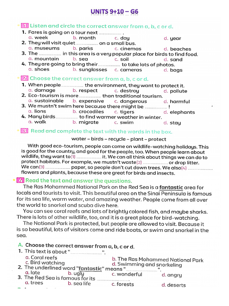 English Exam | PDF