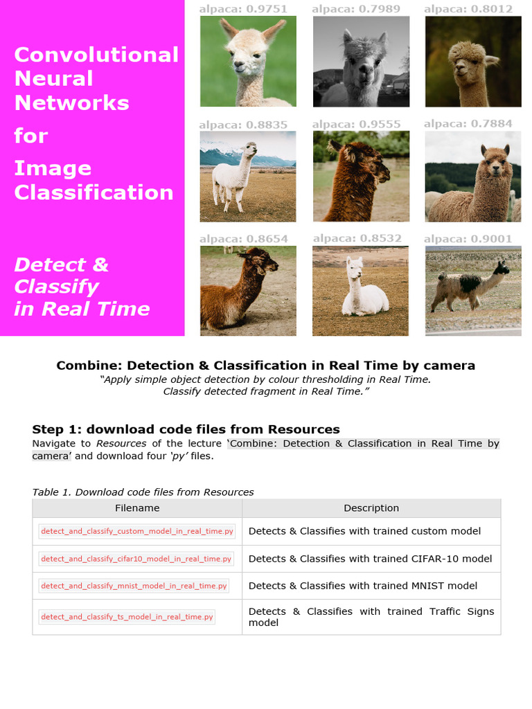 Real-Time Object Detection & Classification | PDF | Art