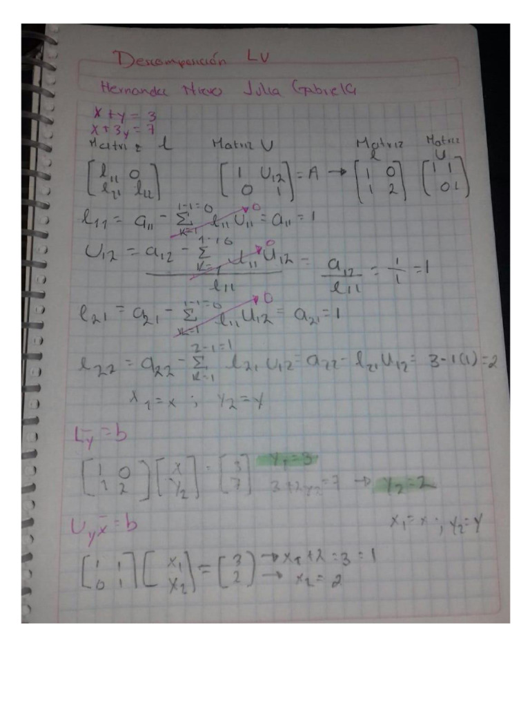 Descomposición Lu - Hernandez Nieves Julia Gabriela - Ejercicio 3 | PDF