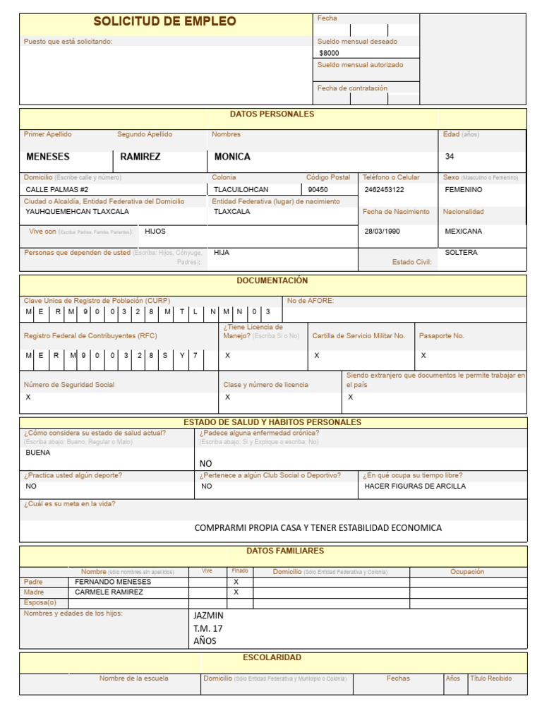 Sne Solicitud de Empleo Plantilla PDF | PDF