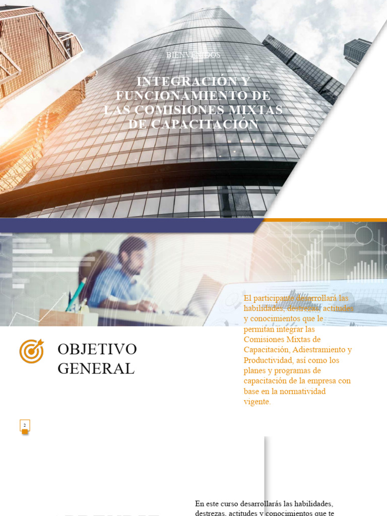 Integración y Funcionamiento de Las Comisiones Mixtas de | PDF | Business | Economias