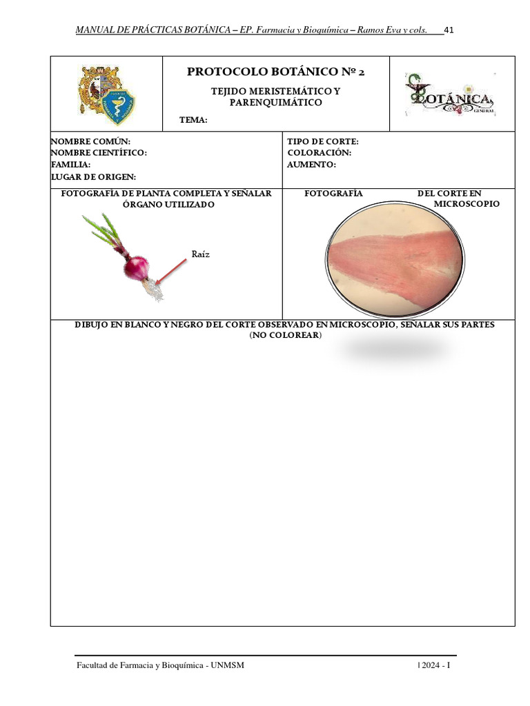 Protocolo 2 | Descargar gratis PDF | Raíz | Morfología (biología)
