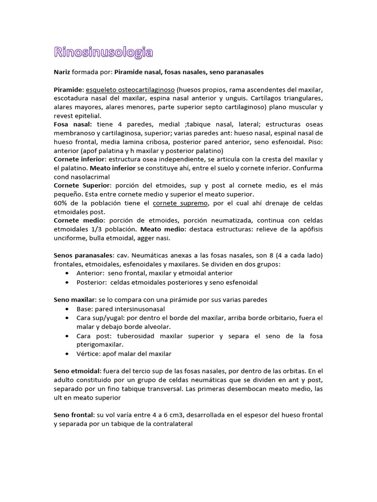 RESUMEN ORL | Descargar gratis PDF | Cabeza y cuello humanos | Medicina CLINICA