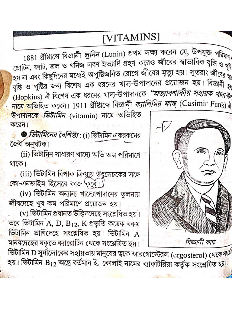 Vitamin | PDF