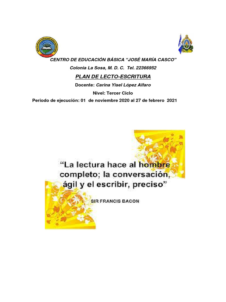 Carina López Plan de Lectoescritura 2020 | PDF | Aprendizaje | Educación primaria