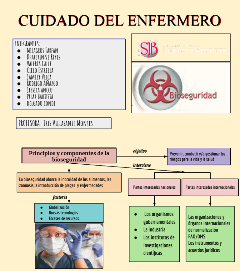 Enfermer | PDF | Salud y bienestar | Ciencia y matemáticas