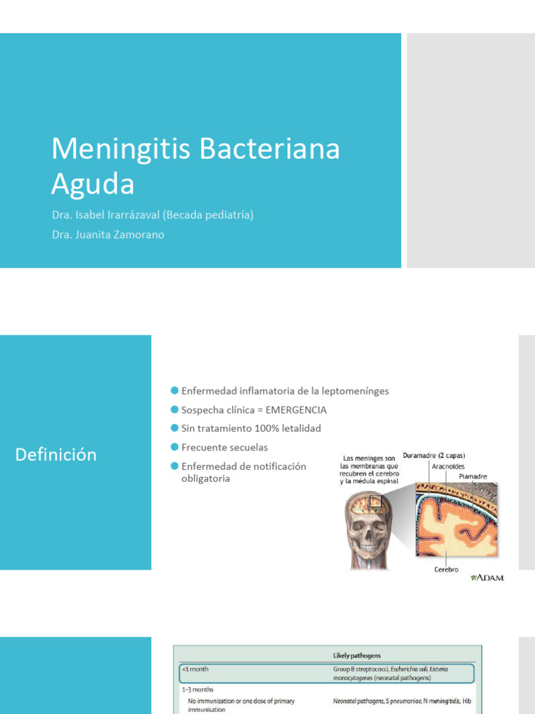 Meningitis Bacteriana Aguda - PPTM | Descargar gratis PDF | Meningitis ...