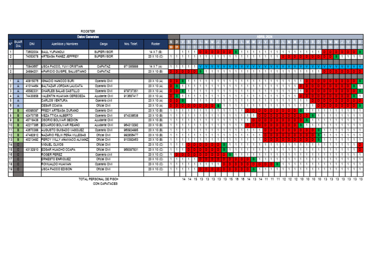 Rooster Personal Civil | PDF