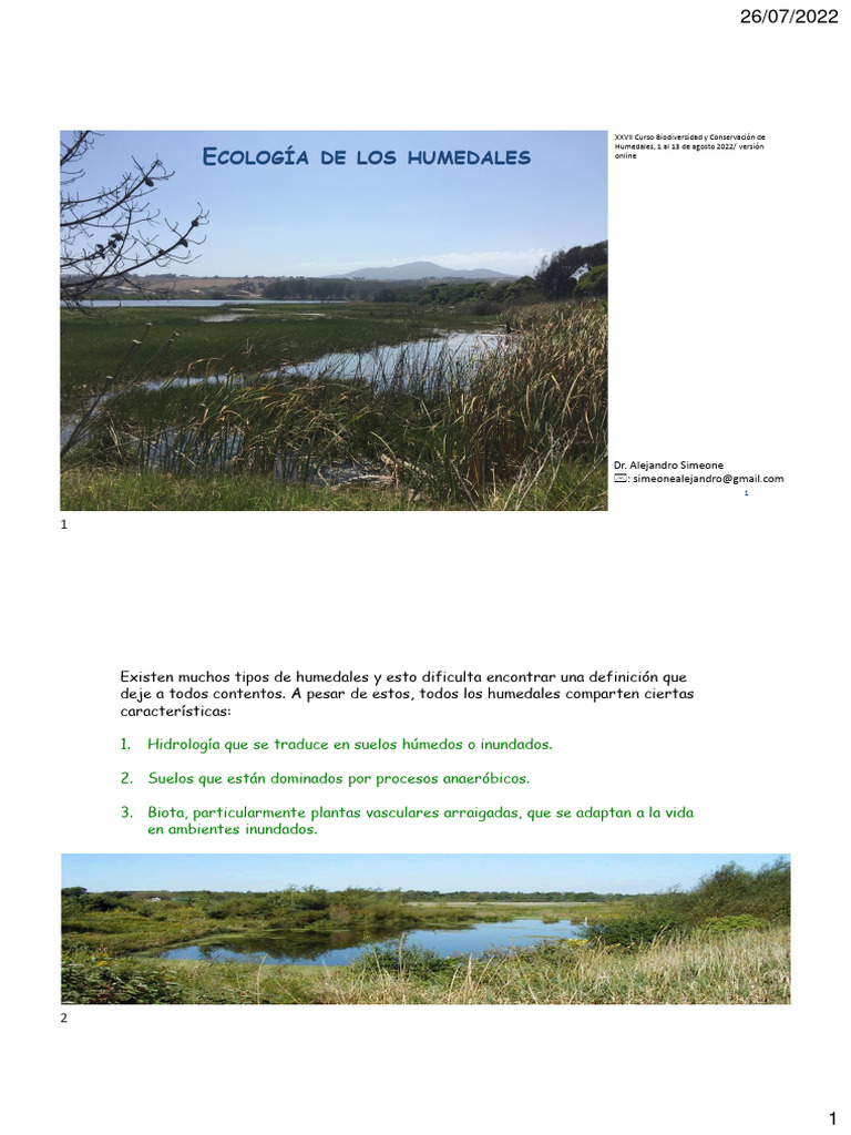 Curso sobre Ecología de Humedales 2022 | PDF | Humedal | Ciencias de la ...