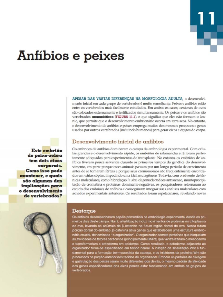 Biologia Do Desenvolvimento - Scott F. Gilbert-353-398 | PDF