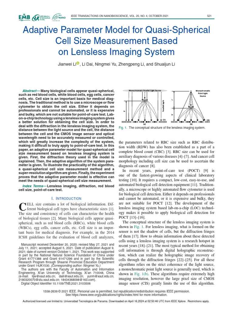 Adaptive Parameter Model For Quasi Spherical Cell Size Measurement Based On Lensless Imaging 