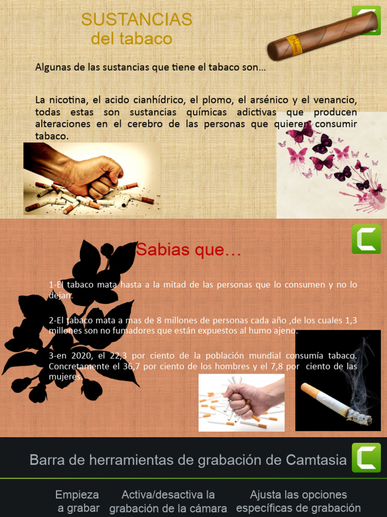 Tarea de Sofi | PDF