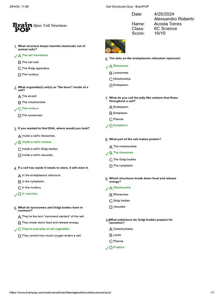 Cell Structures Quiz - BrainPOP | PDF | Cytoplasm | Cell (Biology)