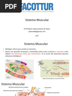 Nomes de 100 Músculos Do Corpo Humano | PDF | Sistema Locomotor ...