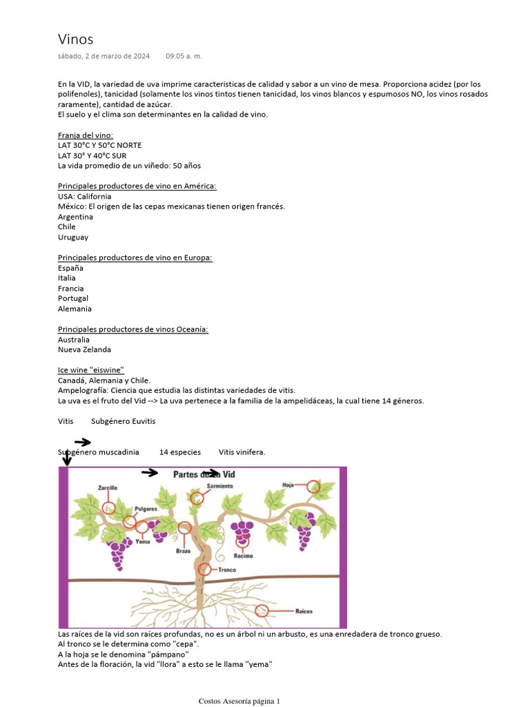 Vinos | PDF | Vino | Uva