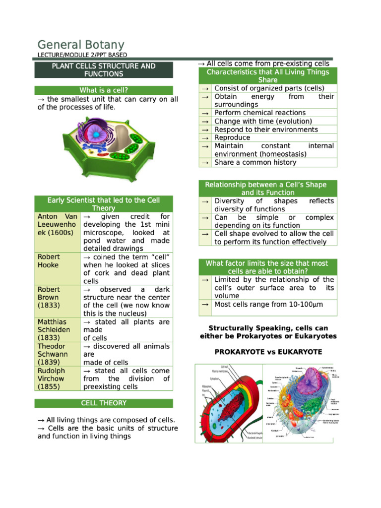 Midterm (Lecture 1 & 2) - Plant Cell & Plant Structure & Functions | PDF