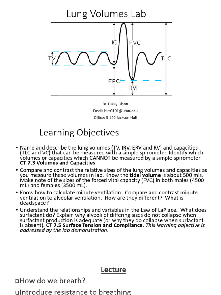 Lung Volume Lab - Student Notes | Download Free PDF | Lung | Breathing
