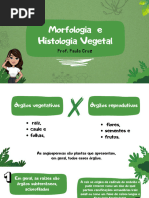 Raízes Adventícias: Exemplos e Funções | PDF | Raiz | Morfologia vegetal