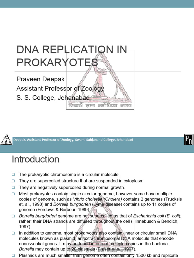 2100292014DNA Replication in Prokaryotes | PDF | Dna Replication | Dna