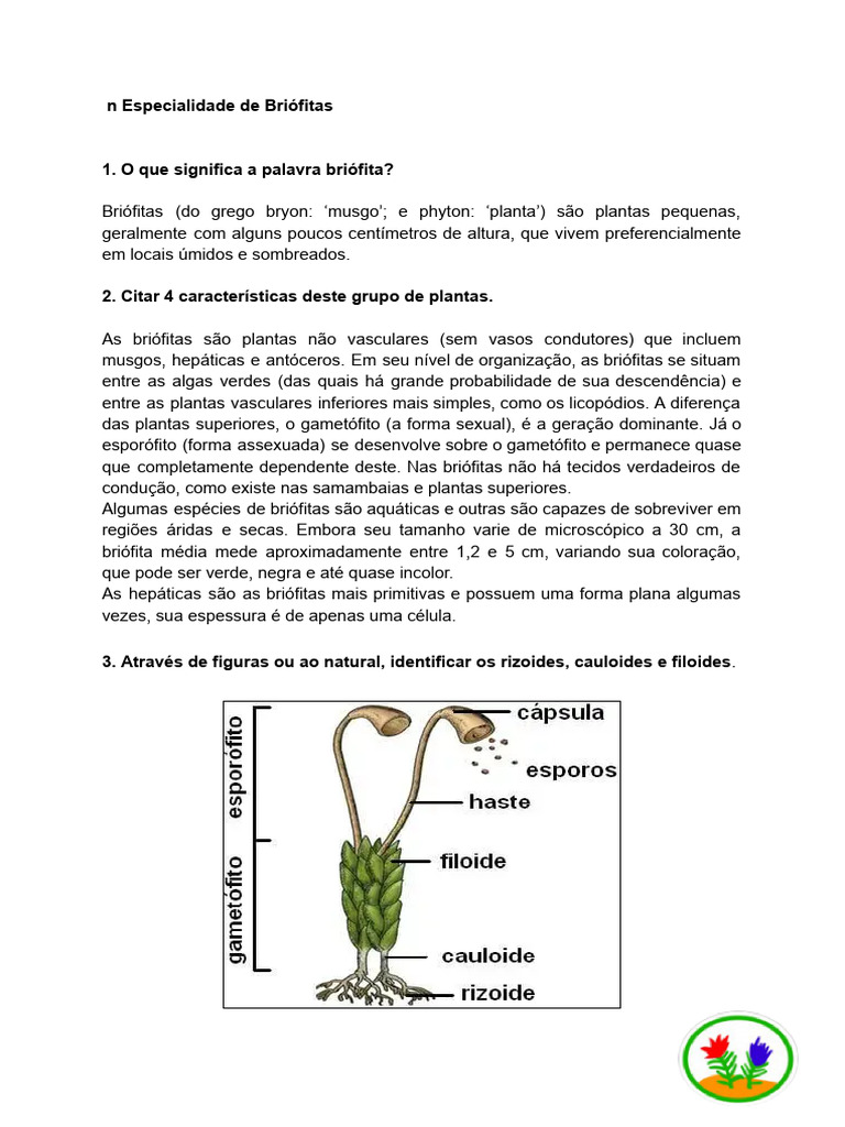 Especialidade e Características das Briófitas | PDF | Musgo | Plantas
