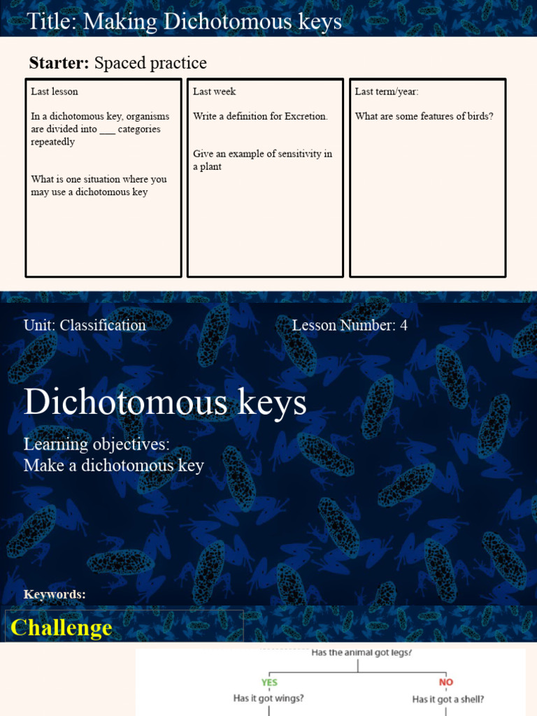 Create a Dichotomous Key Guide | PDF | Zoology