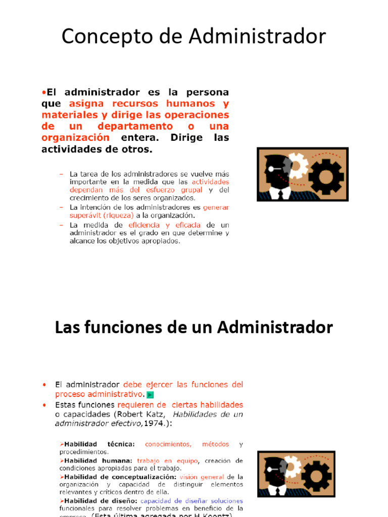 Guía de Roles y Niveles Administrativos | PDF