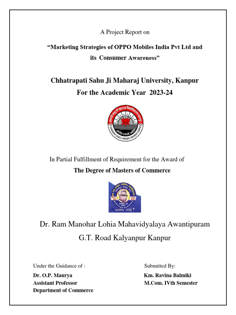 ravina | PDF | Digital Marketing | Sales